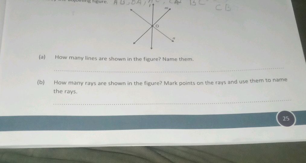 (a) How many lines are shown in the figure?