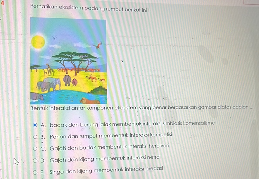 Perhatikan ekosistem padang rumput berikut | StudyX