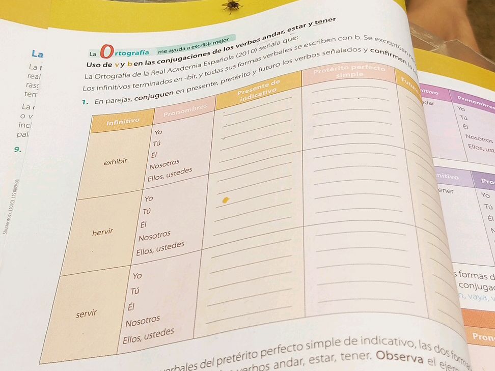 En parejas, conjuguen en presente, pretérito