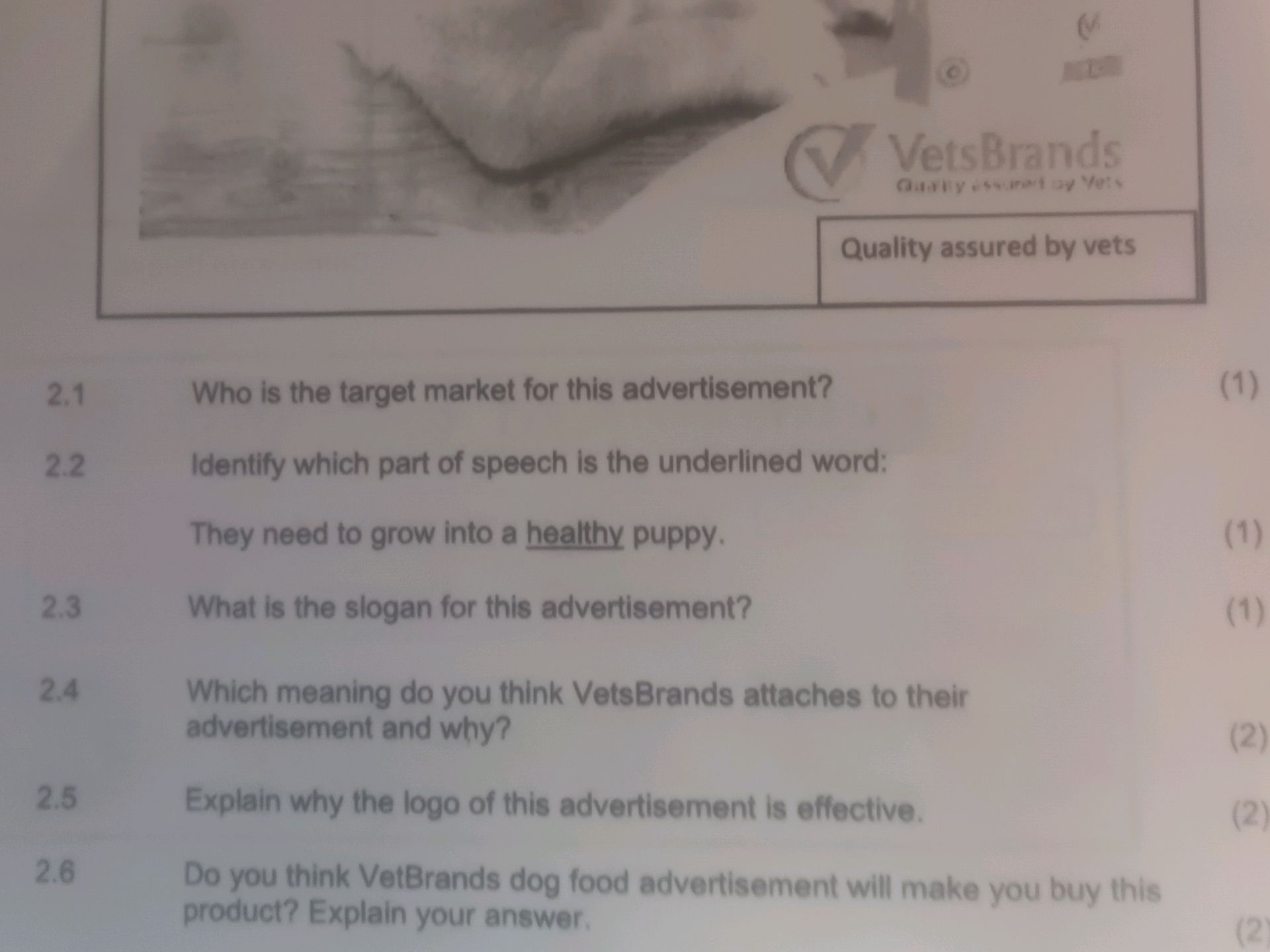 2.1 Who is the target market for this | StudyX