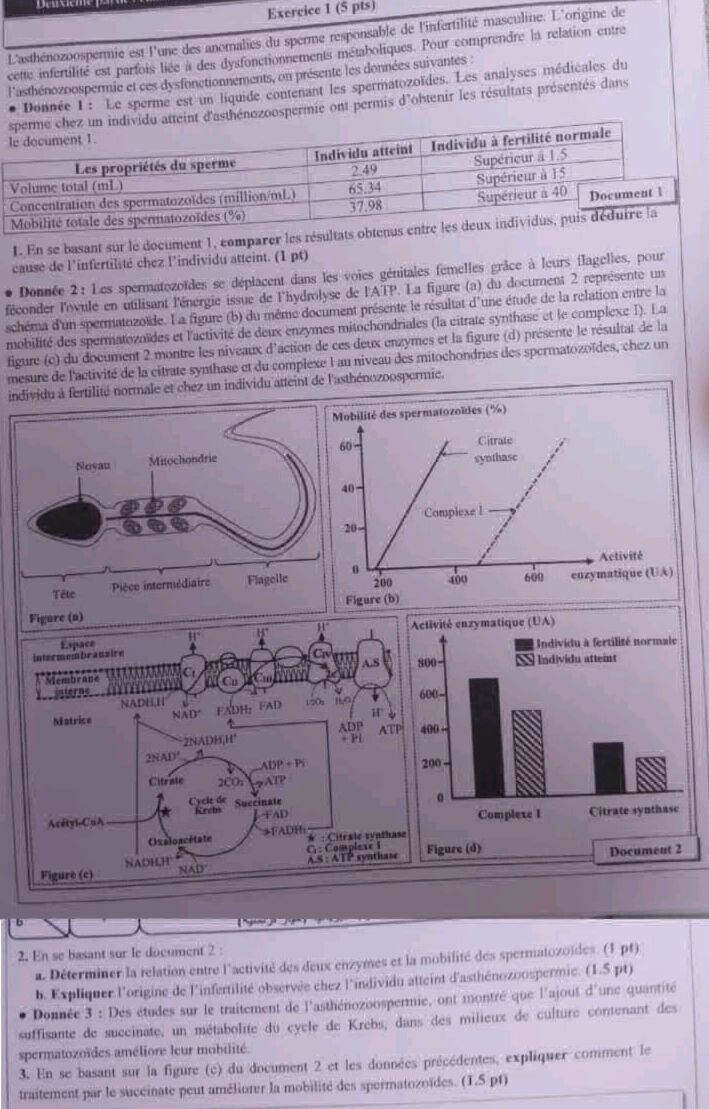 Exercice 1 (5 pts) L'asthénozoospermie est | StudyX