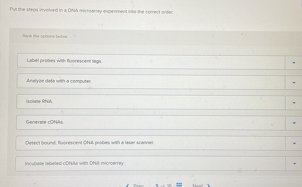 Put the steps involved in a DNA microarray | StudyX
