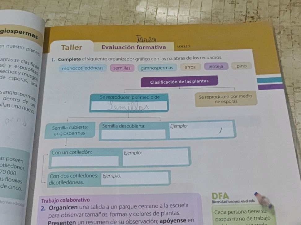 1. Completa el siguiente organizador gráfico | StudyX