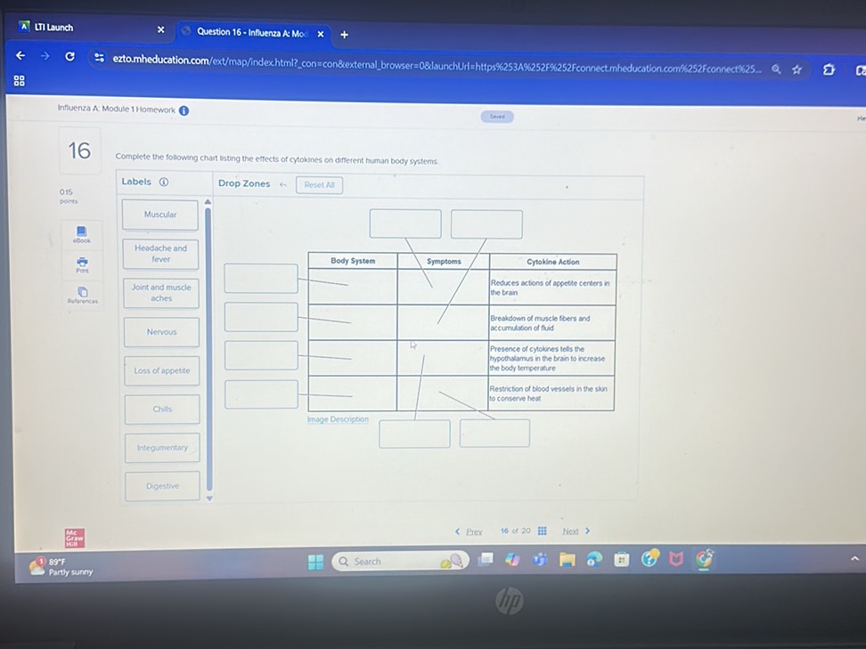 Complete the following chart listing the | StudyX