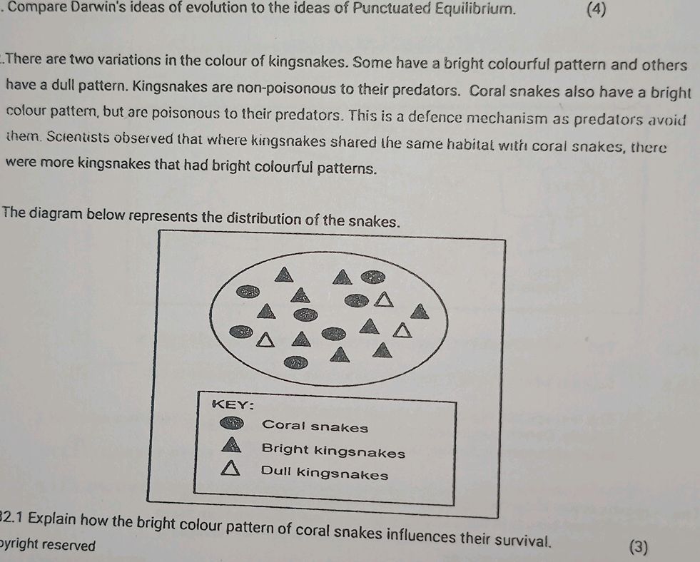 32.1 Explain how the bright colour pattern | StudyX