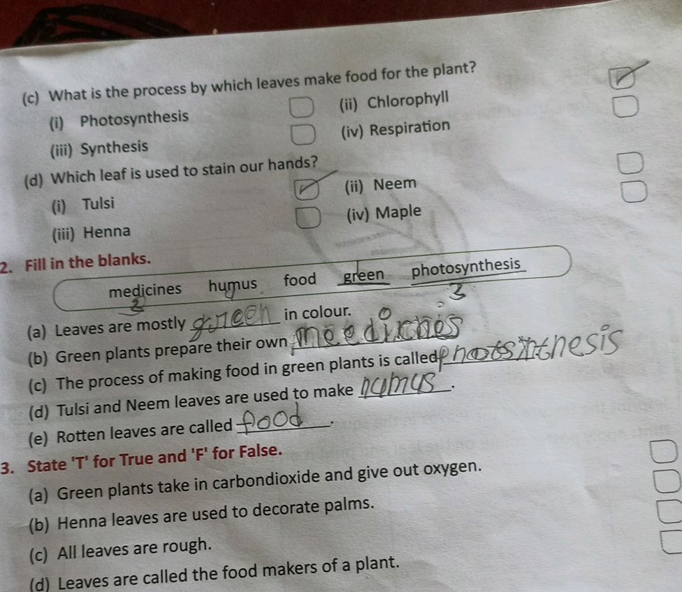 (c) What is the process by which leaves make