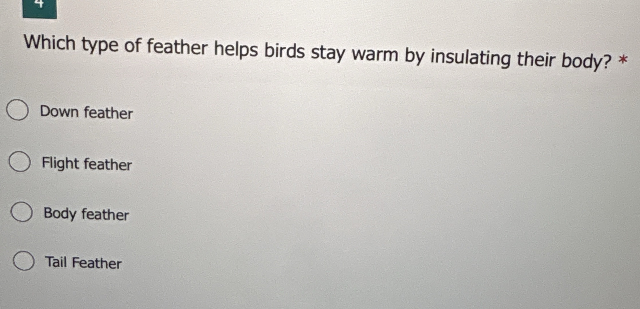 Which type of feather helps birds stay warm | StudyX