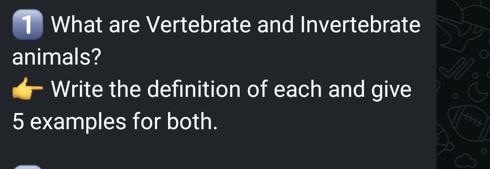 1 What are Vertebrate and Invertebrate | StudyX