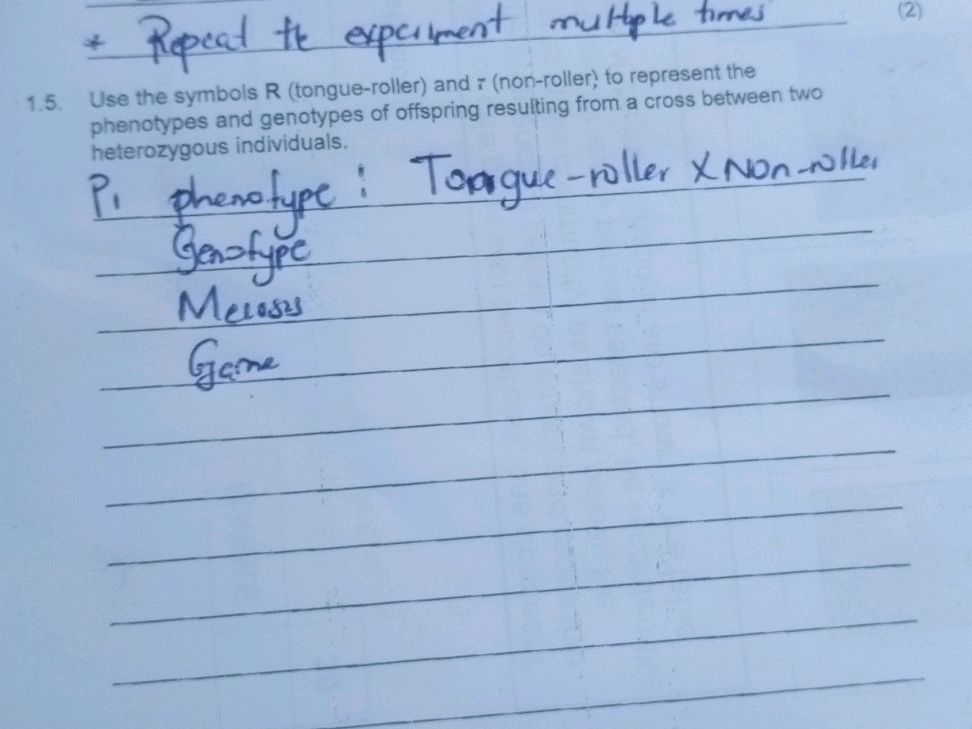 1. Use the symbols R (tongue-roller) and r | StudyX