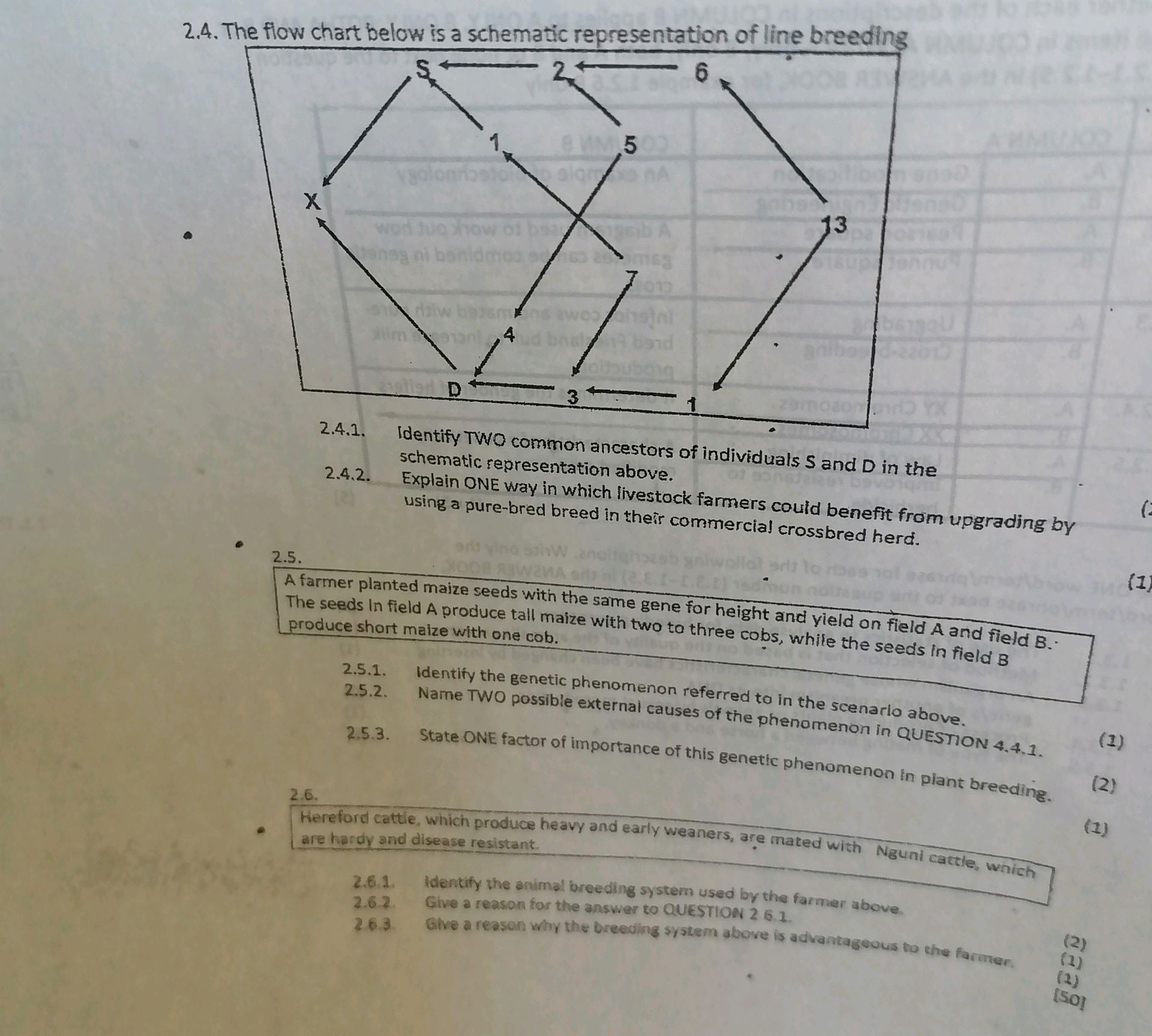 2.4. The flow chart below is a schematic | StudyX