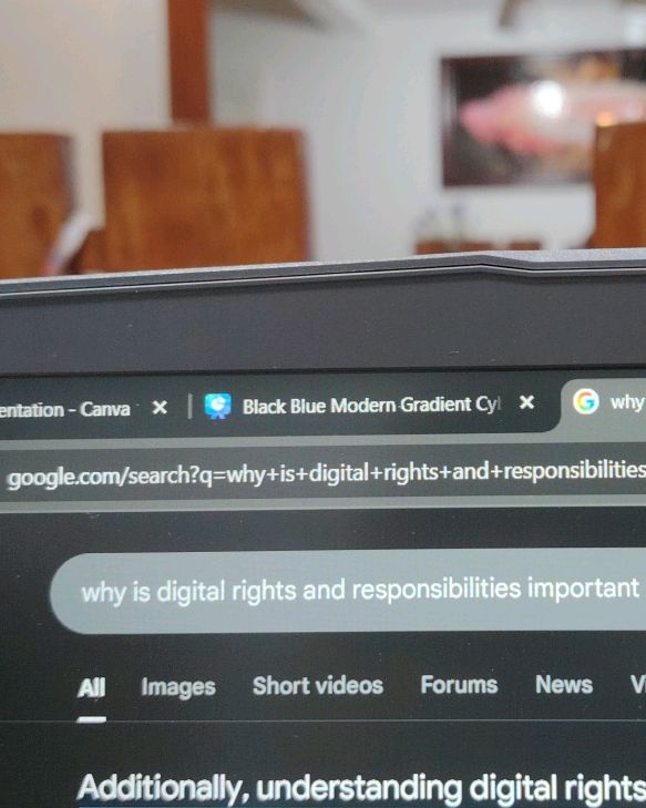 why is digital rights and responsibilities | StudyX
