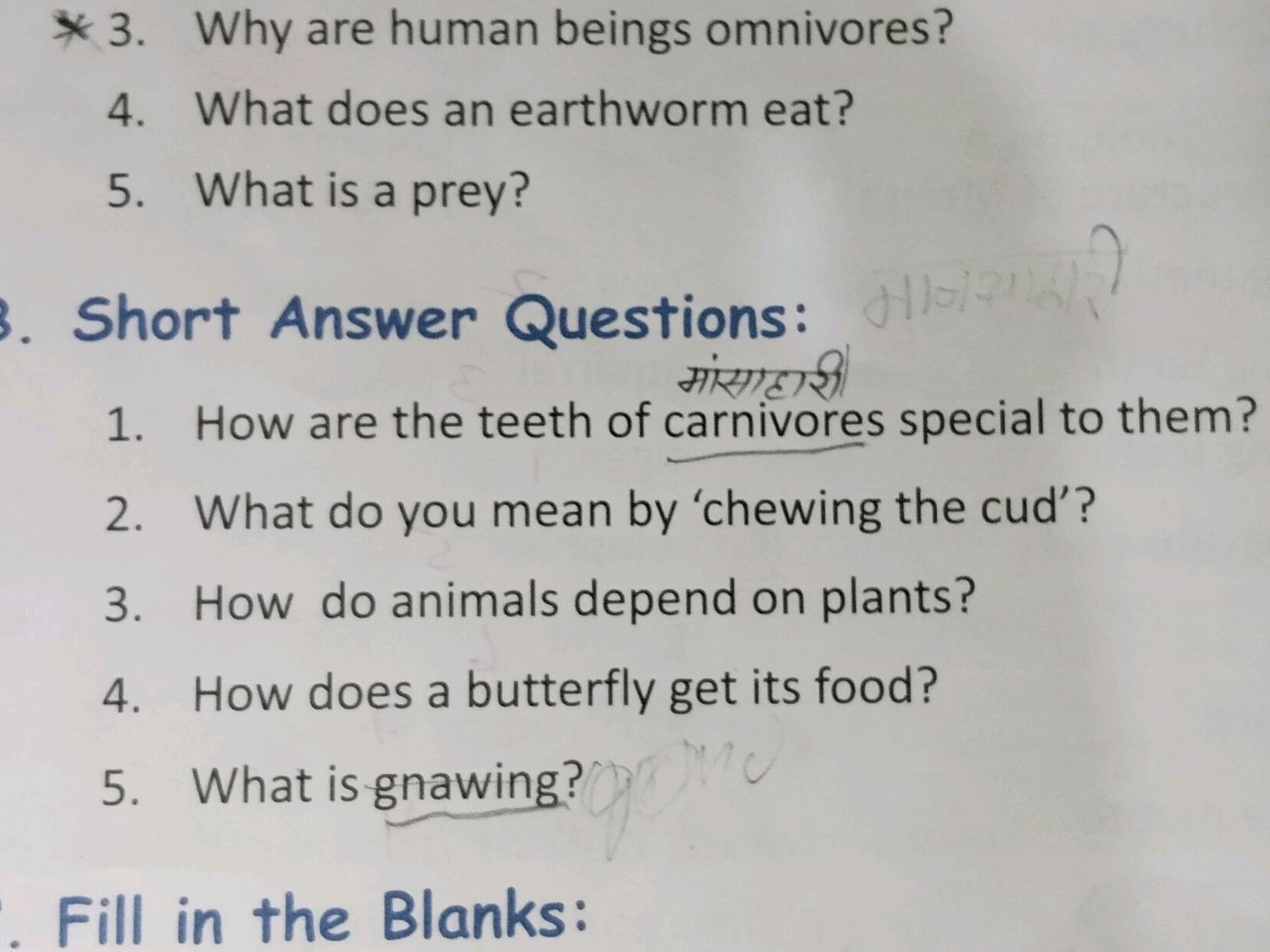 *3. Why are human beings omnivores? 4. What | StudyX