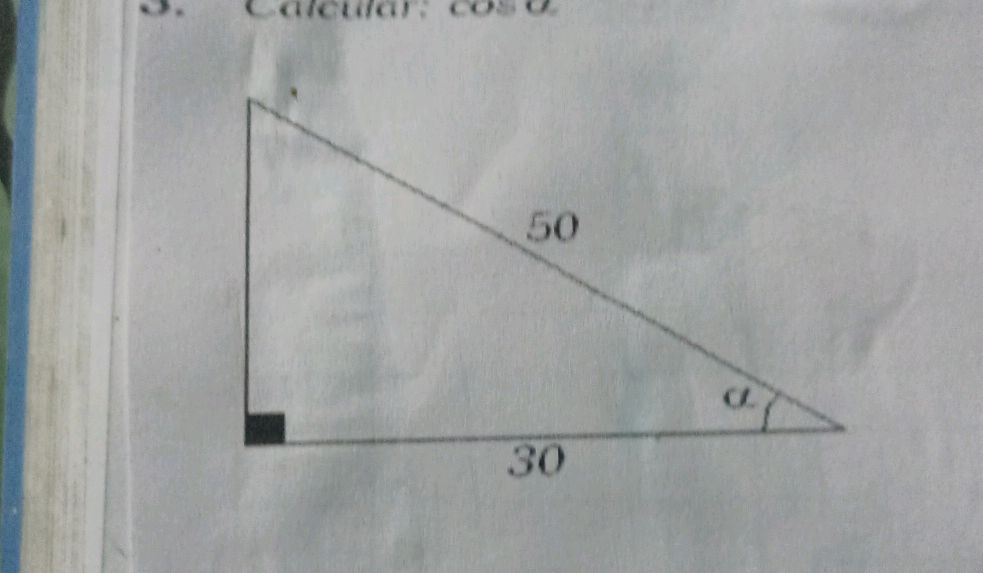 Calculate: cos α In a right triangle, the | StudyX