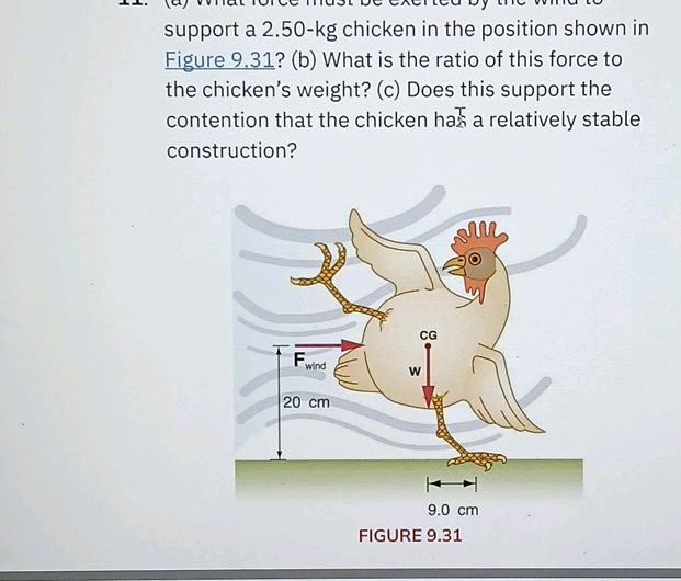 11. (a) What force must be exerted by the | StudyX
