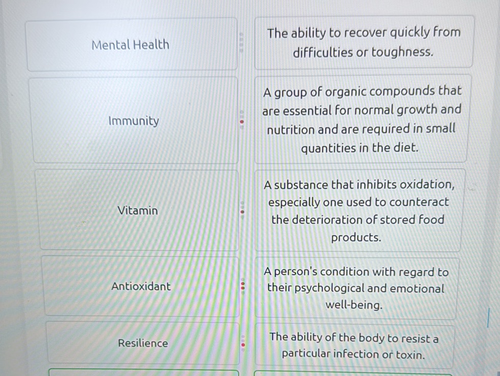 Match the term with its definition: Mental | StudyX