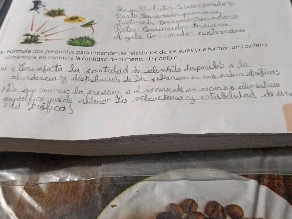 5. Formula dos preguntas para entender las | StudyX