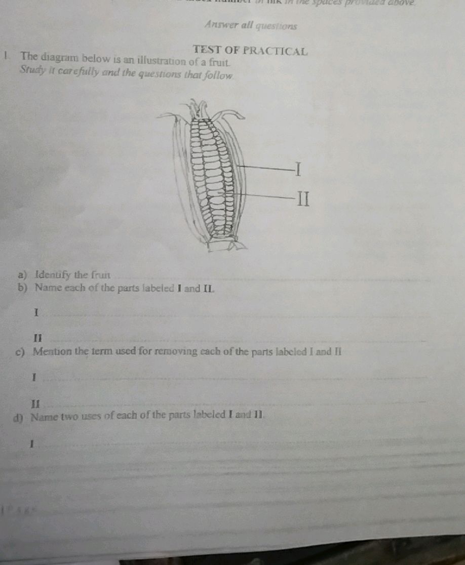 1. The diagram below is an illustration of a | StudyX