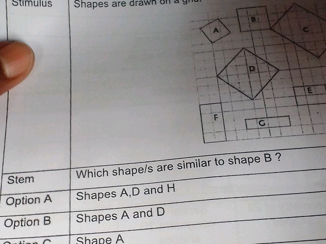 Which shape/s are similar to shape B? | StudyX