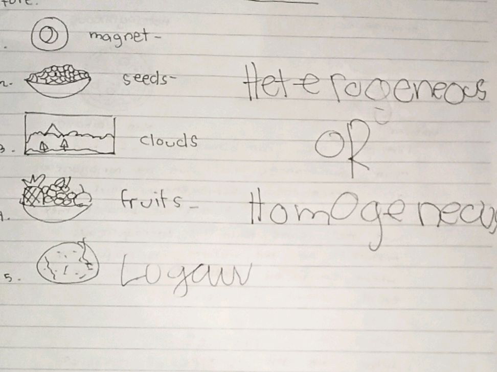 1. magnet - 2. seeds - Heterogeneous 3. | StudyX