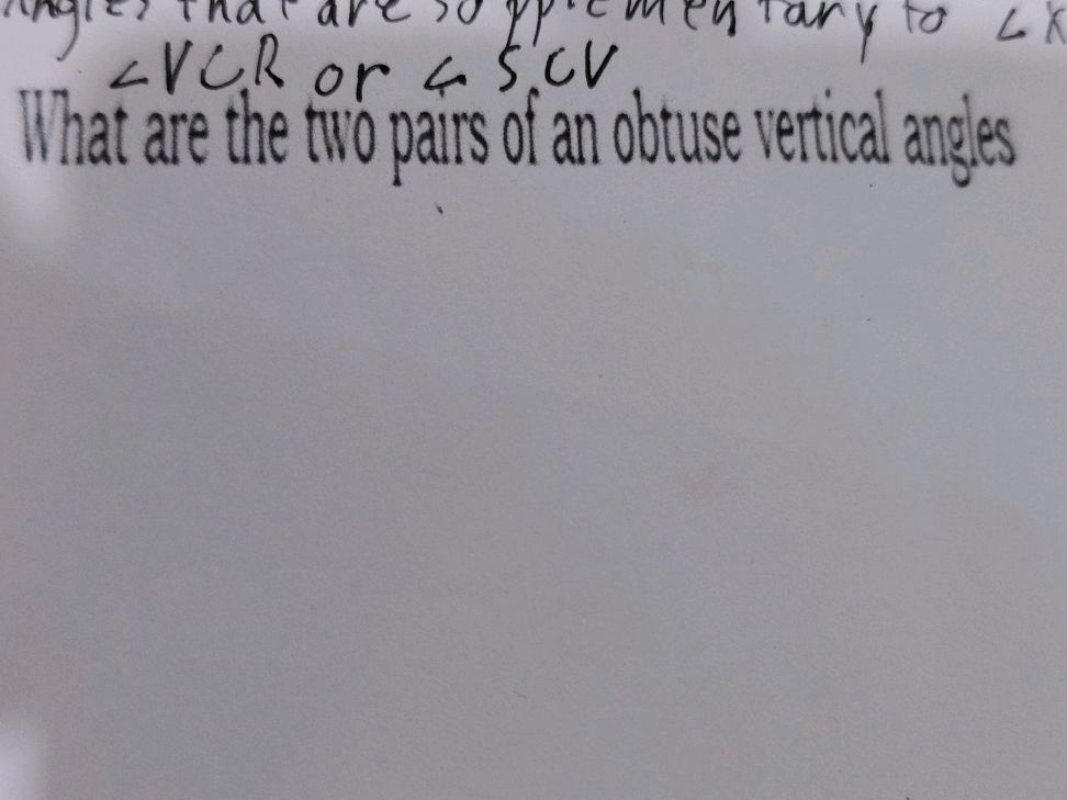 What are the two pairs of an obtuse vertical