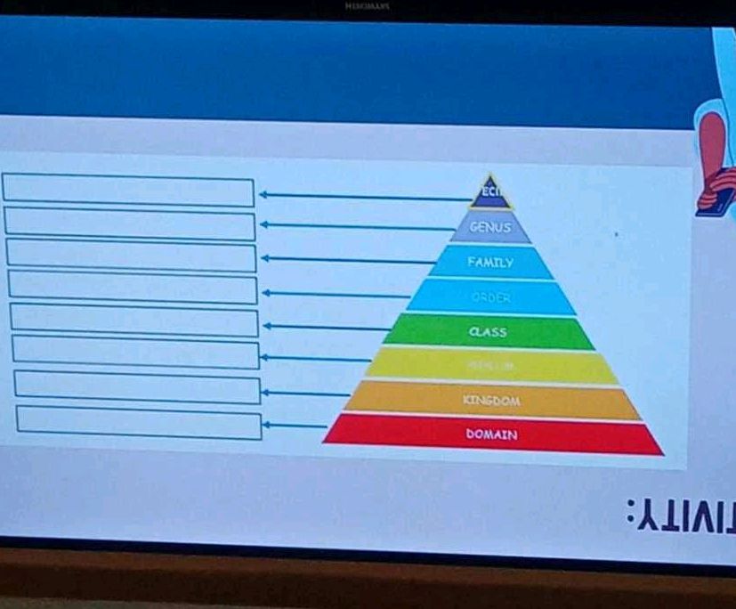 The image shows a biological classification