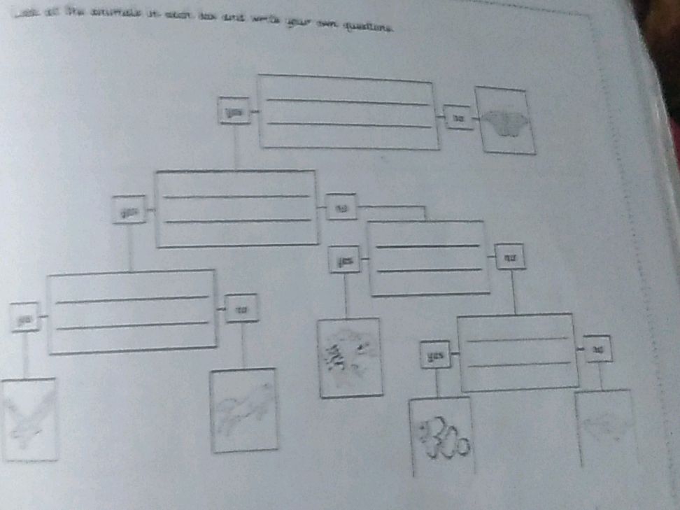 Look at the animals in each box and write | StudyX