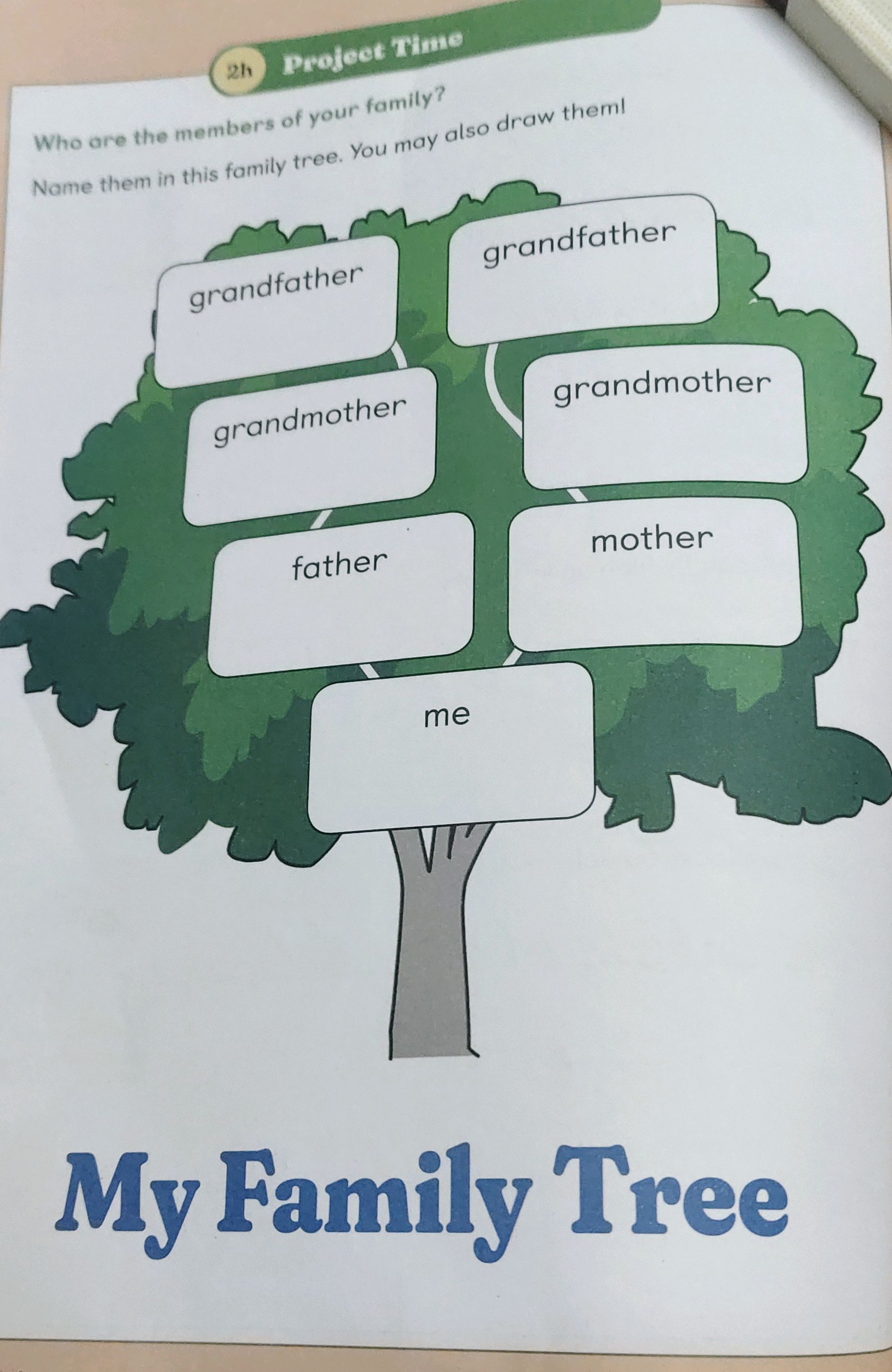 Who are the members of your family? Name | StudyX
