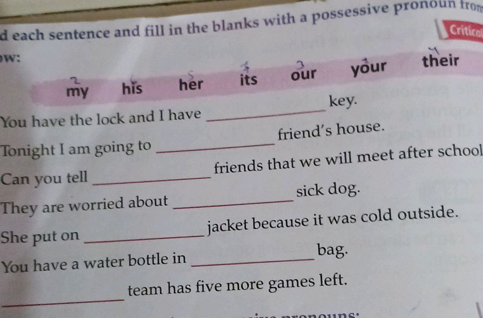 Fill in the blanks with a possessive pronoun | StudyX