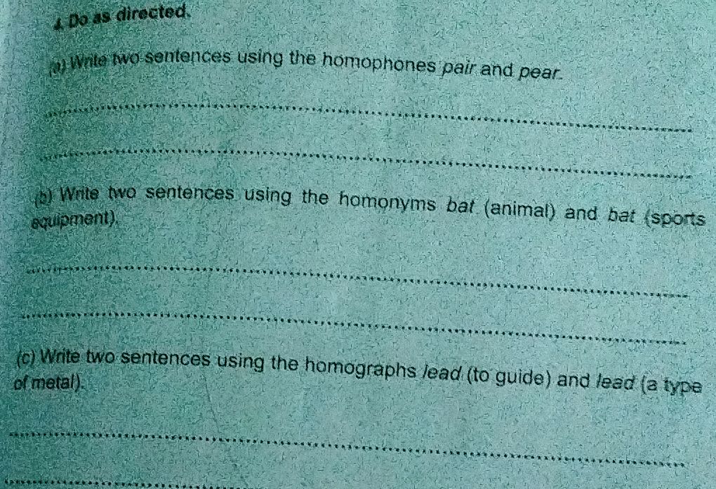 (a) Write two sentences using the homophones | StudyX