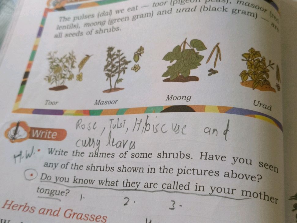 Write the names of some shrubs. Have you | StudyX