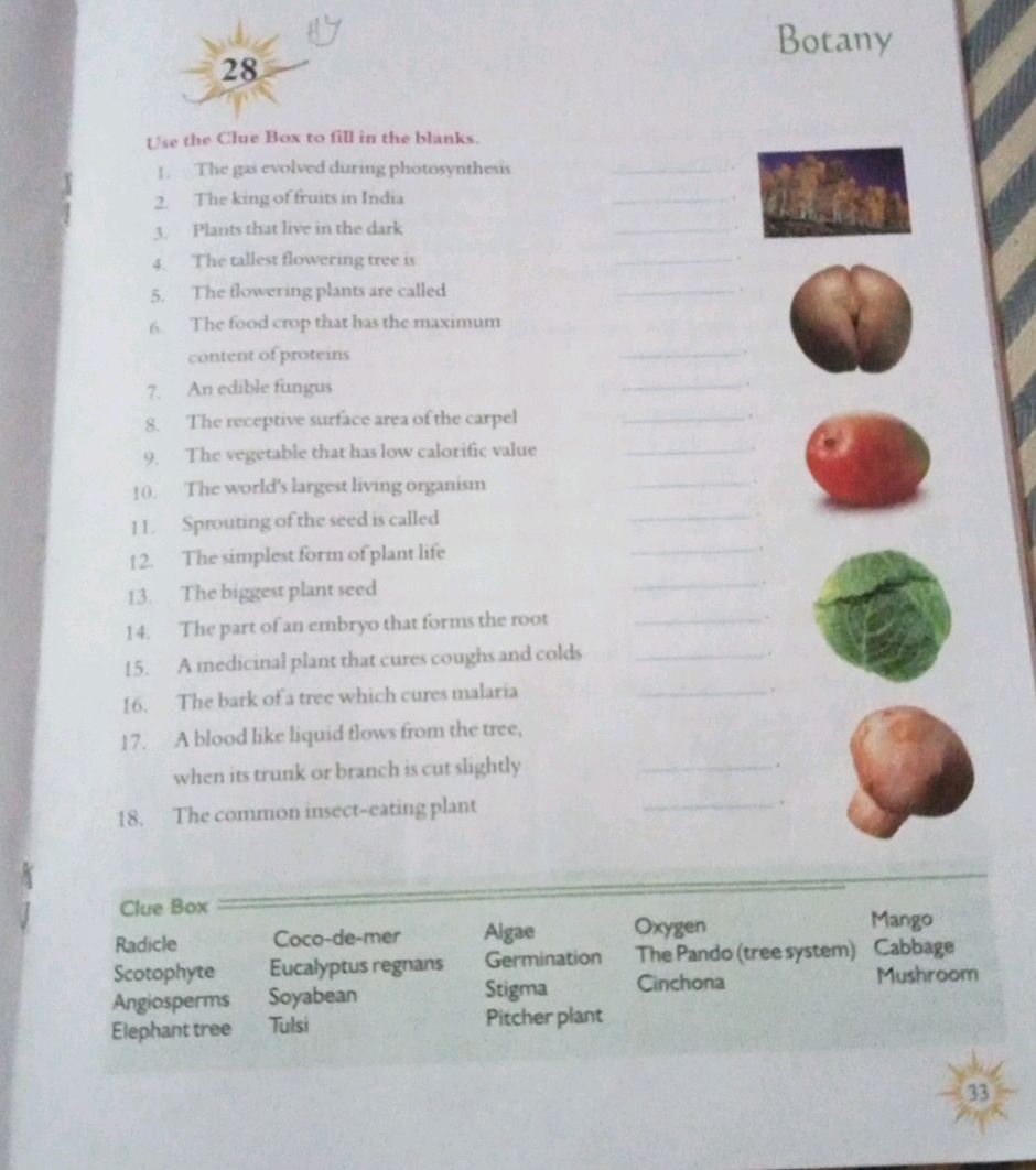 Use the Clue Box to fill in the blanks. 1. | StudyX