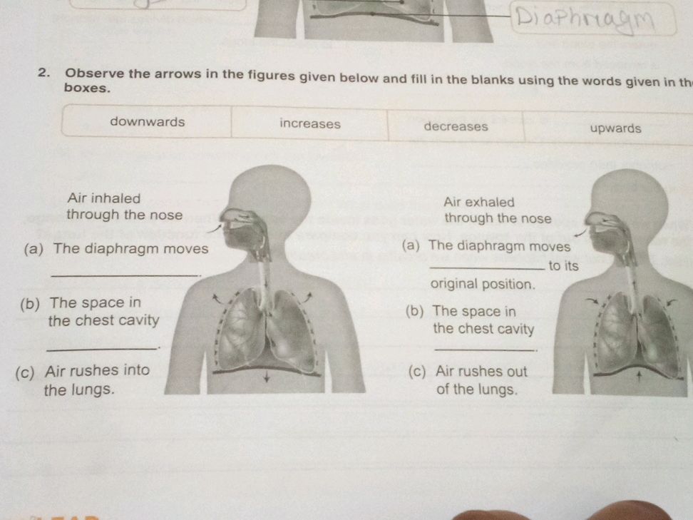 2. Observe the arrows in the figures given | StudyX