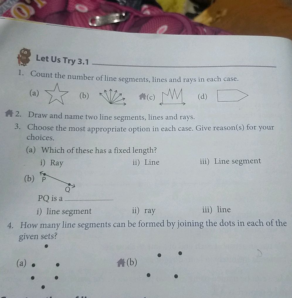 1. Count the number of line segments, lines | StudyX