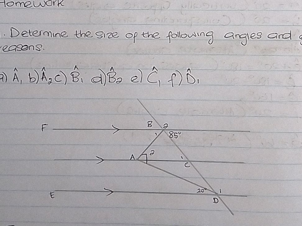 Determine the size of the following angles | StudyX