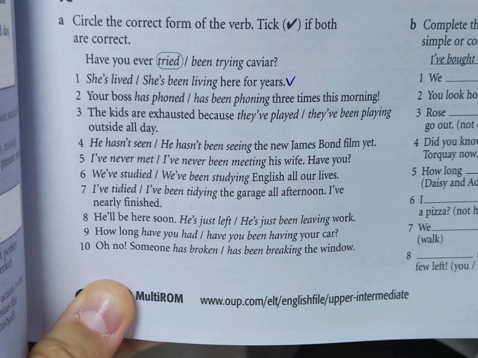 a Circle the correct form of the verb. Tick