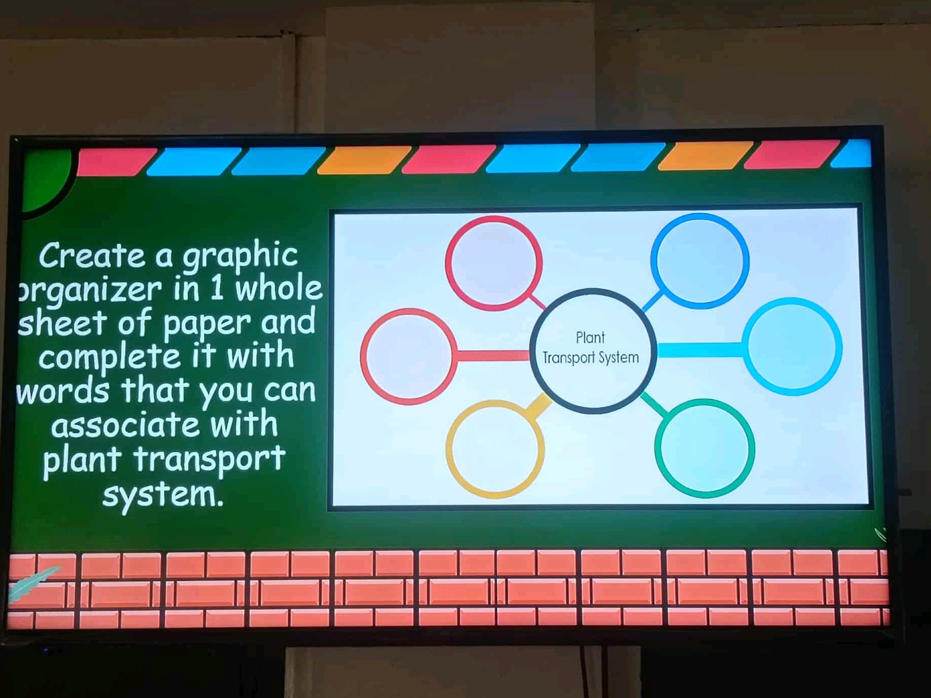 Create a graphic organizer in 1 whole sheet | StudyX