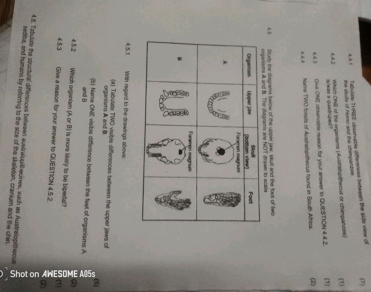 4.4.1 Tabulate THREE observable differences | StudyX
