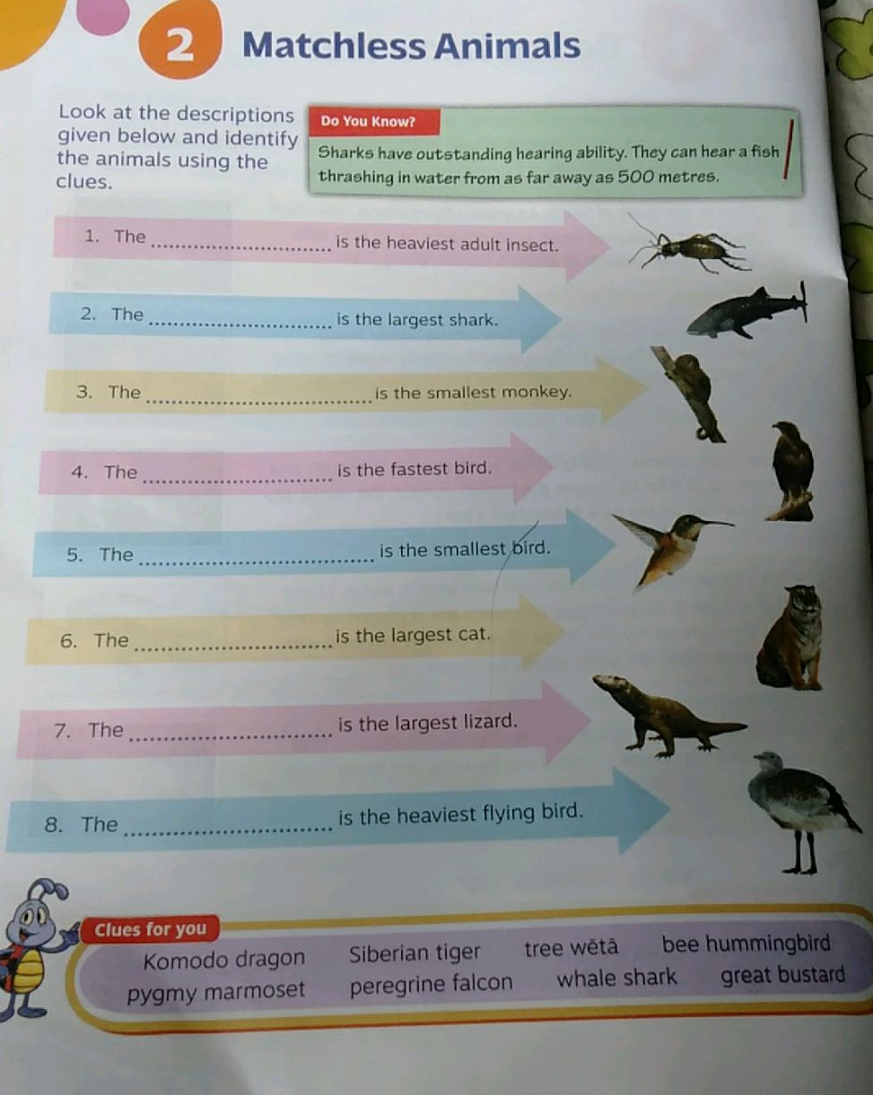 Look at the descriptions given below and | StudyX