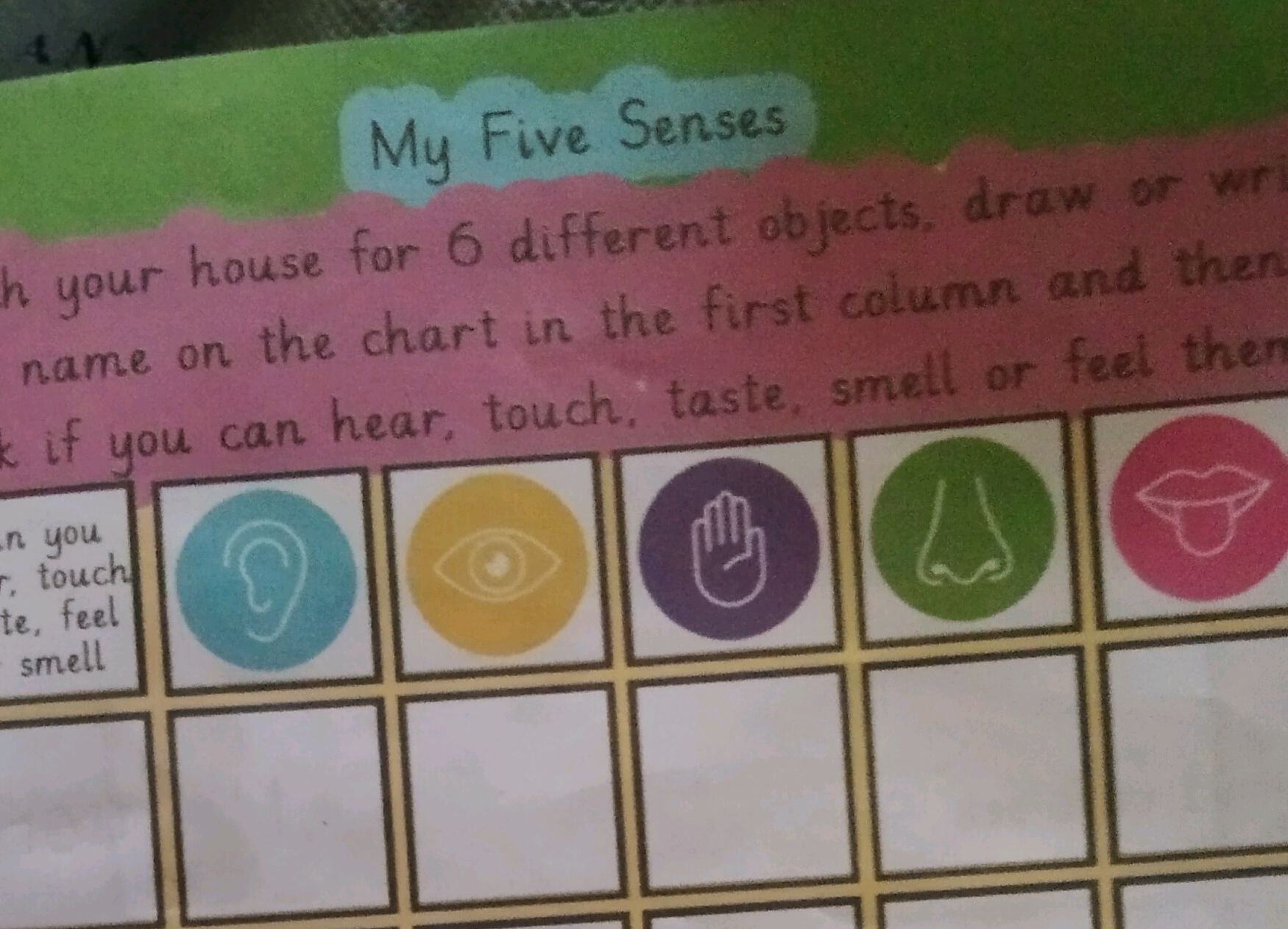 My Five Senses Find 6 different objects in | StudyX