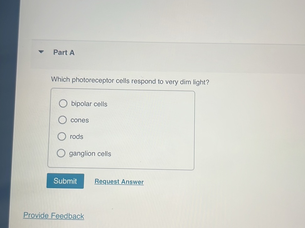 Which photoreceptor cells respond to very | StudyX