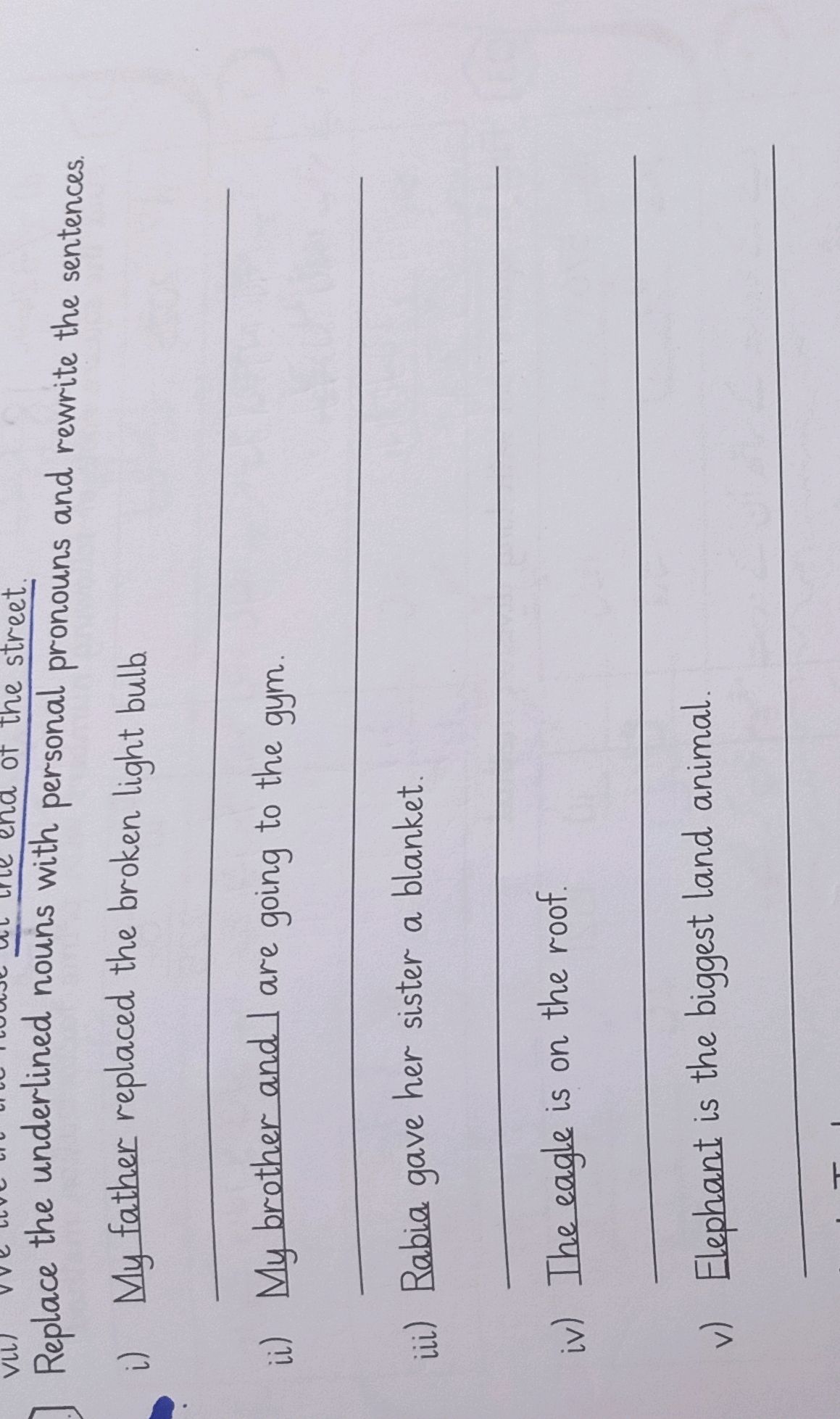 vii) Replace the underlined nouns with | StudyX