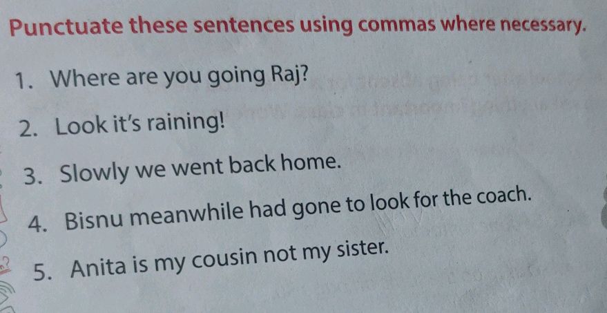 Punctuate these sentences using commas where | StudyX