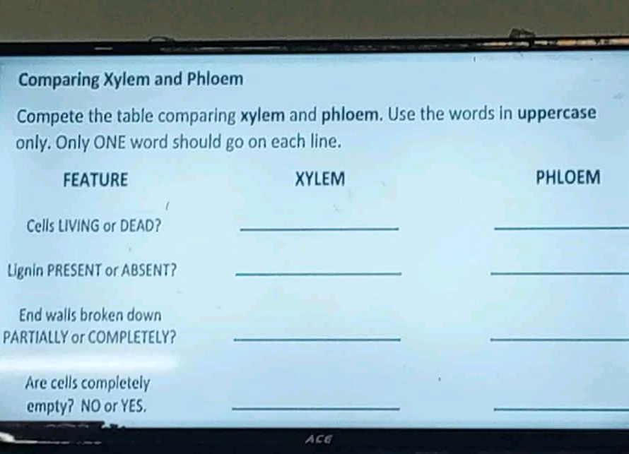 Comparing Xylem and Phloem Compete the | StudyX
