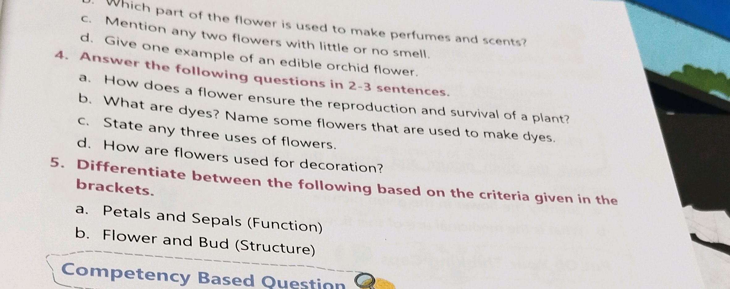 c. Which part of the flower is used to make