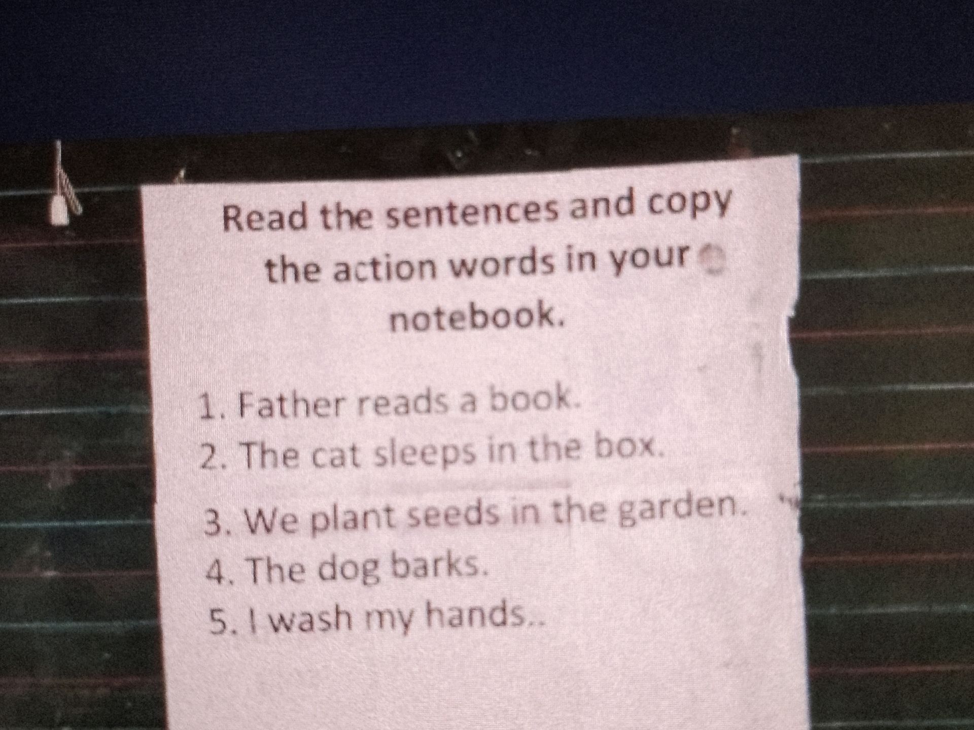 Read the sentences and copy the action words