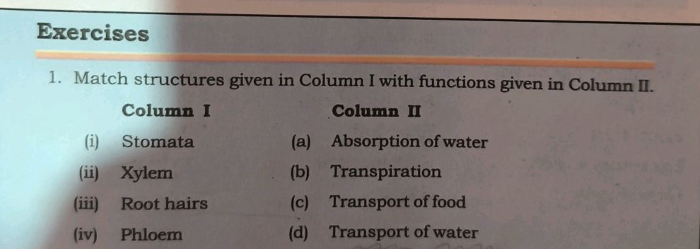 1. Match structures given in Column I with | StudyX