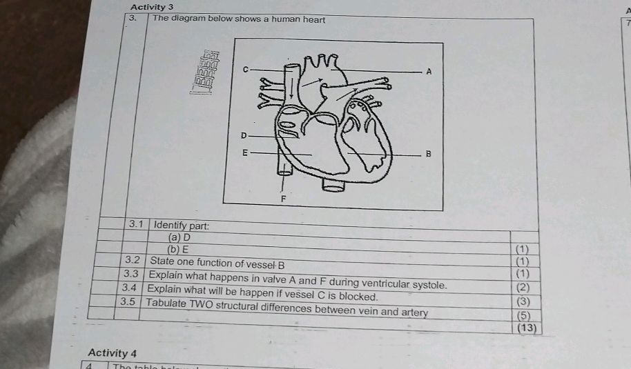 3. The diagram below shows a human heart | StudyX