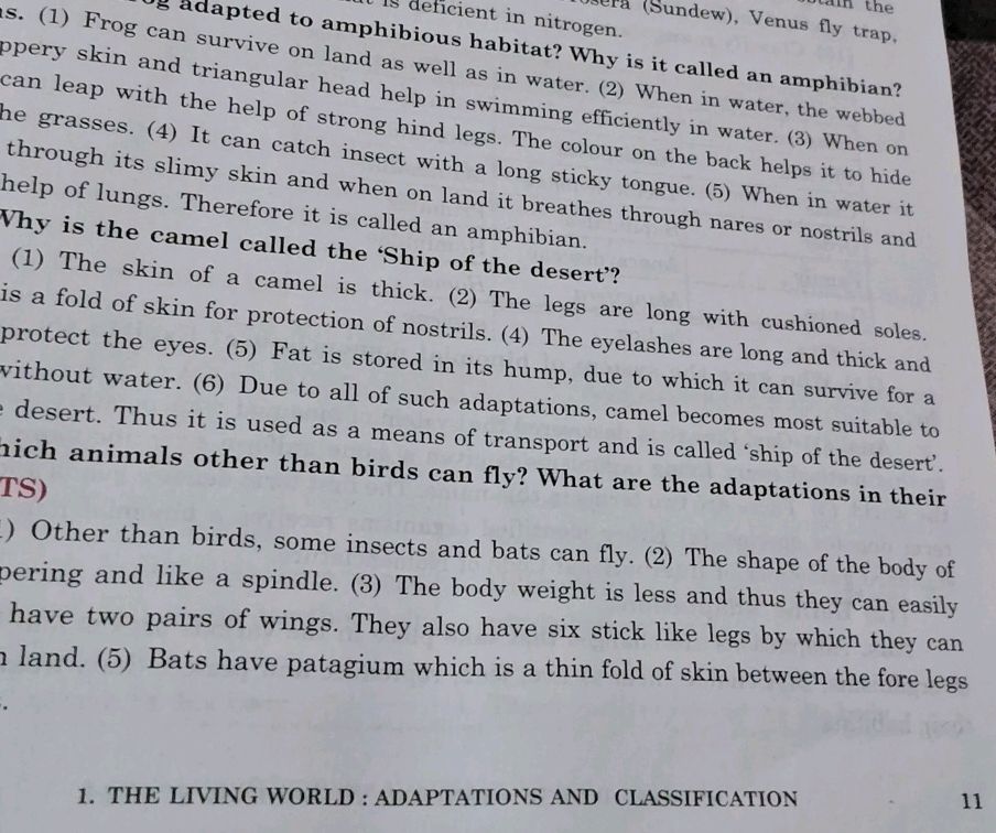 Why is the camel called the 'Ship of the | StudyX