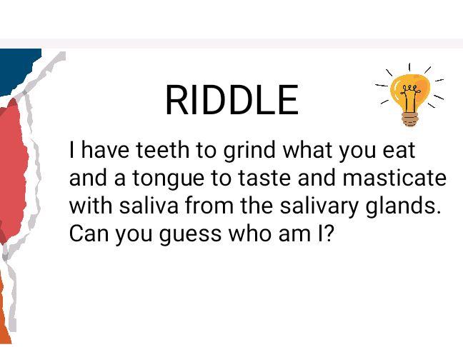 RIDDLE I have teeth to grind what you eat | StudyX