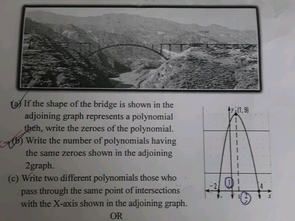 (a) If the shape of the bridge is shown in | StudyX